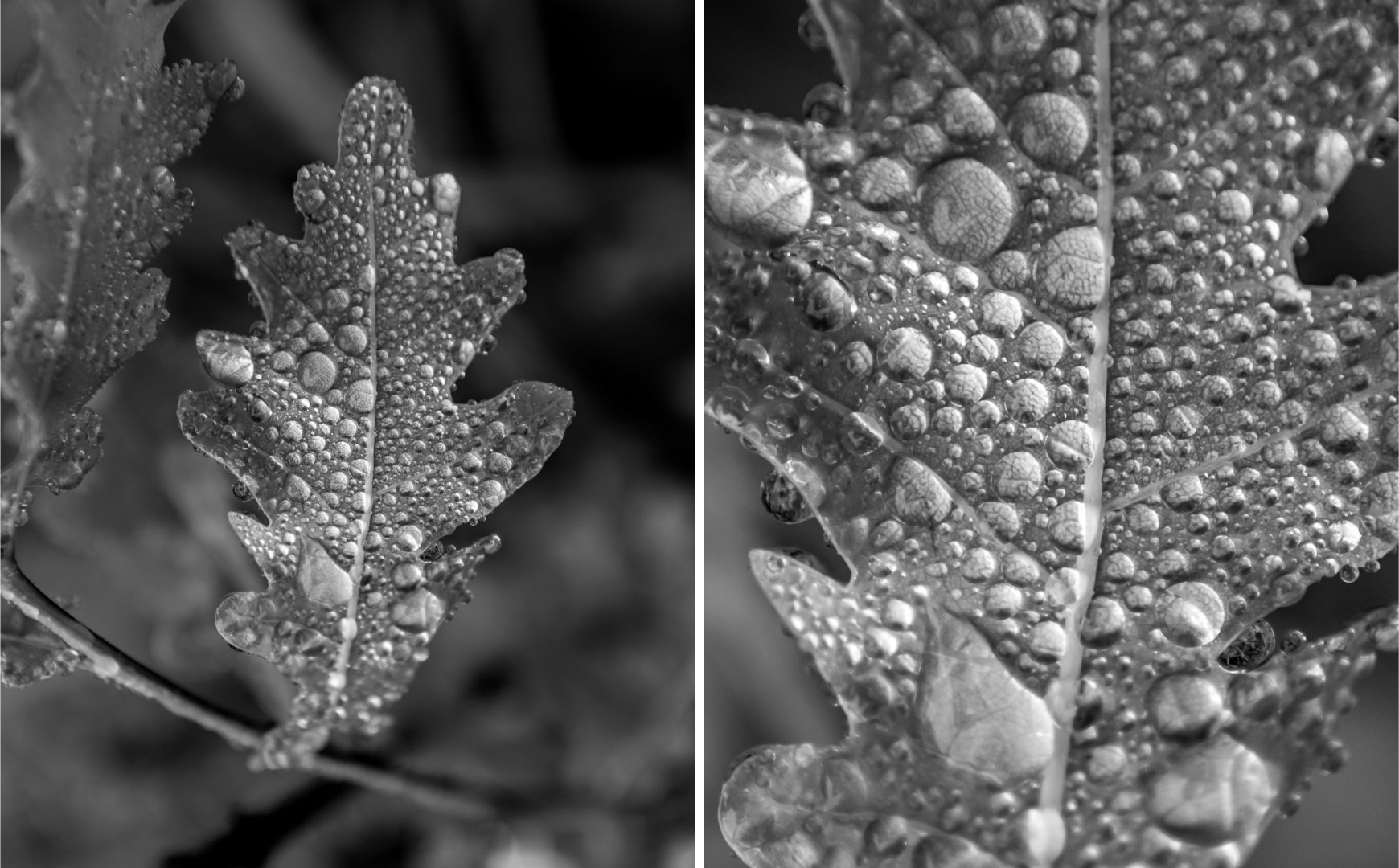 Sans Titre 8 – Enguerran Ouvray | Photographe